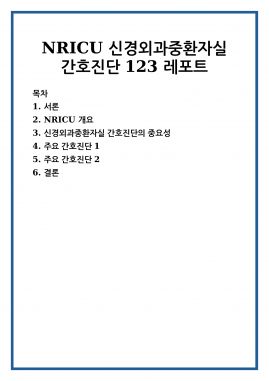 NRICU 신경외과중환자실 간호진단 123 레포트-1페이지