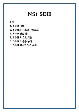 NS) SDH 레포트 자료-1페이지