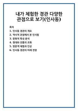 내가 체험한 경관 다양한 관점으로 보기(인사동)-1페이지