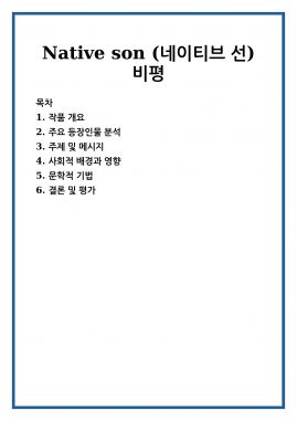Native son (네이티브 선) 비평-1페이지