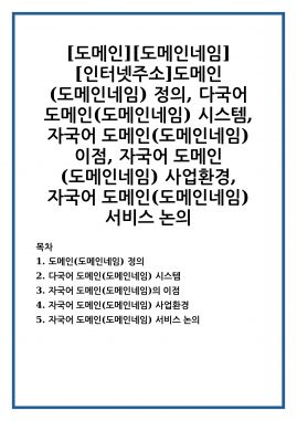 [도메인][도메인네임][인터넷주소]도메인(도메인네임) 정의, 다국어 도메인(도메인네임) 시스템, 자국어 도메인(도메인네임) 이점, 자국어 도메인(도메인네임) 사업환경, 자국어 도메인(도메인네임) 서비스 논의-1페이지