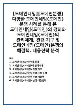 [도메인네임][도메인분쟁]다양한 도메인네임(도메인)분쟁 사례를 통해 본 도메인네임(도메인)의 정의와 도메인네임(도메인)의 관리체계, 관련 기구 및 도메인네임(도메인)분쟁의 해결책, 대응전략 분석-1페이지