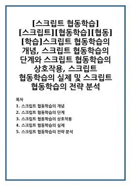 [스크립트 협동학습][스크립트][협동학습][협동][학습]스크립트 협동학습의 개념, 스크립트 협동학습의 단계와 스크립트 협동학습의 상호작용, 스크립트 협동학습의 실제 및 스크립트 협동학습의 전략 분석-1페이지