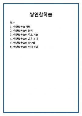 쌍연합학습 레포트 자료-1페이지