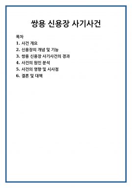 쌍용 신용장 사기사건-1페이지