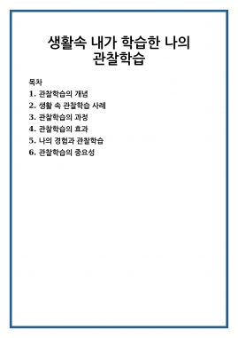 생활속 내가 학습한 나의 관찰학습-1페이지