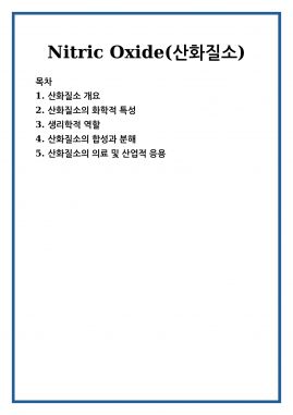 Nitric Oxide(산화질소)-1페이지