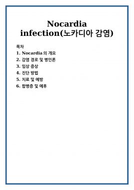 Nocardia infection(노카디아 감염)-1페이지