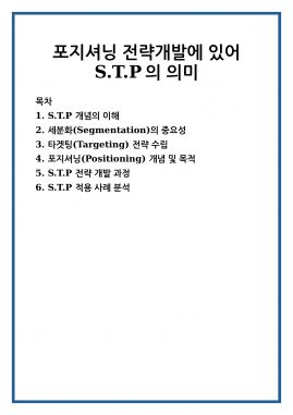 포지셔닝 전략개발에 있어S.T.P의 의미-1페이지