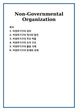 Non-Governmental Organization-1페이지