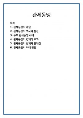 관세동맹 레포트 자료-1페이지