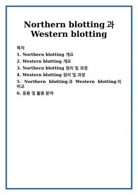 Northern blotting과 Western blotting-1페이지