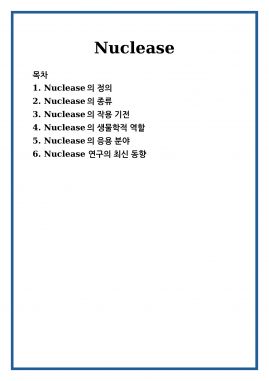Nuclease 레포트 자료-1페이지