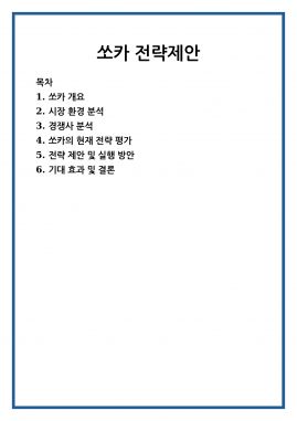 쏘카 전략제안-1페이지