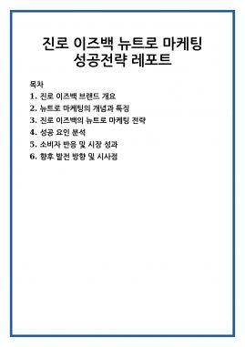 진로 이즈백 뉴트로 마케팅 성공전략 레포트-1페이지
