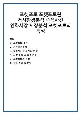 포켓포토 포켓포토란 거시환경분석 즉석사진 인화시장 시장분석 포켓포토의 특성-1페이지
