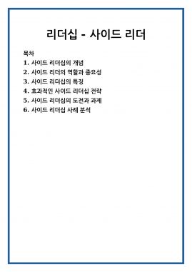 리더십 - 사이드 리더-1페이지