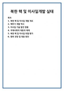 북한 핵 및 미사일개발 실태-1페이지