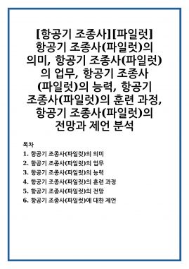 [항공기 조종사][파일럿]항공기 조종사(파일럿)의 의미, 항공기 조종사(파일럿)의 업무, 항공기 조종사(파일럿)의 능력, 항공기 조종사(파일럿)의 훈련 과정, 항공기 조종사(파일럿)의 전망과 제언 분석-1페이지