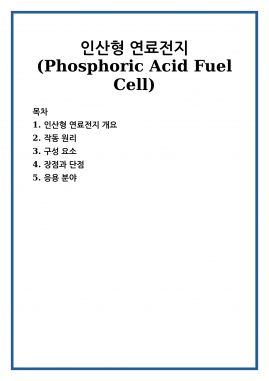 인산형 연료전지(Phosphoric Acid Fuel Cell)-1페이지