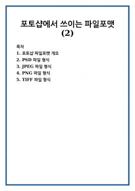 포토샵에서 쓰이는 파일포맷 (2)-1페이지