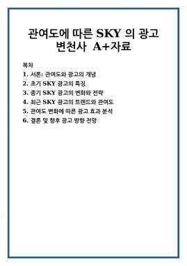 관여도에 따른 SKY 의 광고 변천사 자료-1페이지
