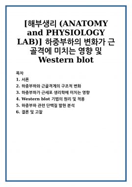 [해부생리 (ANATOMY and PHYSIOLOGY LAB)] 하중부하의 변화가 근 골격에 미치는 영향 및 Western blot-1페이지
