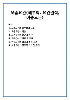 오줌요관(해부학, 요관결석, 이중요관)-1페이지