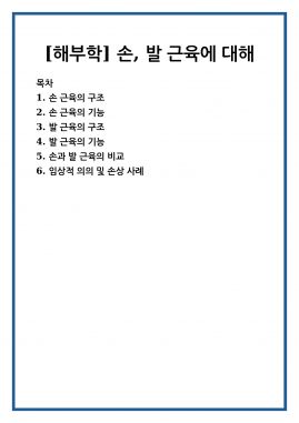 손 근육의 구조 손 근육의 기능 발 근육의 구조 발 근육의 기능 손과 발 근육의 비교 임상적 의의 및 손상 사례-1페이지