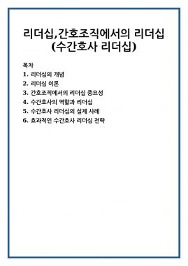 리더십,간호조직에서의 리더십(수간호사 리더십)-1페이지