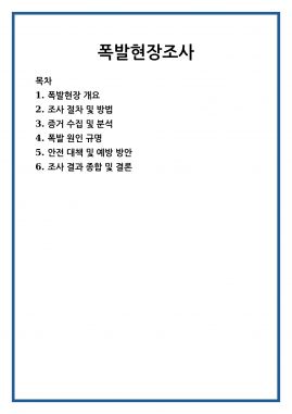 폭발현장조사-1페이지