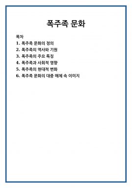 폭주족 문화 레포트 자료-1페이지