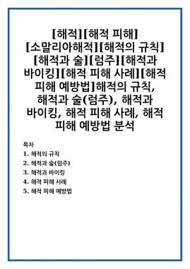 [해적][해적 피해][소말리아해적][해적의 규칙][해적과 술][럼주][해적과 바이킹][해적 피해 사례][해적 피해 예방법]해적의 규칙, 해적과 술(럼주), 해적과 바이킹, 해적 피해 사례, 해적 피해 예방법 분석-1페이지