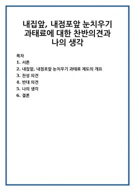 내집앞, 내점포앞 눈치우기 과태료에 대한 찬반의견과 나의 생각-1페이지