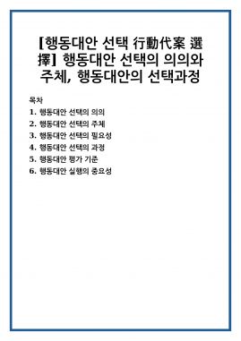 [행동대안 선택 行動代案 選擇] 행동대안 선택의 의의와 주체, 행동대안의 선택과정-1페이지