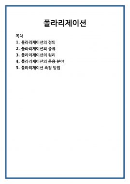 폴라리제이션-1페이지