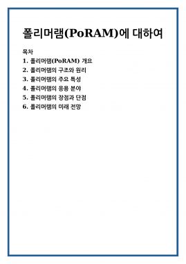 폴리머램(PoRAM)에 대하여-1페이지