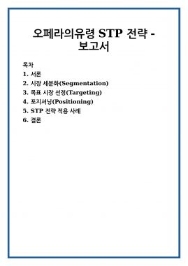 오페라의유령 STP 전략 - 보고서-1페이지