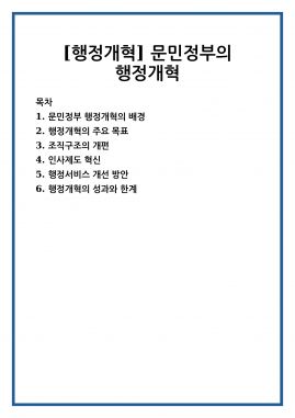 [행정개혁] 문민정부의 행정개혁-1페이지