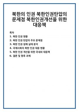 북한의 인권 북한인권탄압의 문제점 북한인권개선을 위한 대응책-1페이지