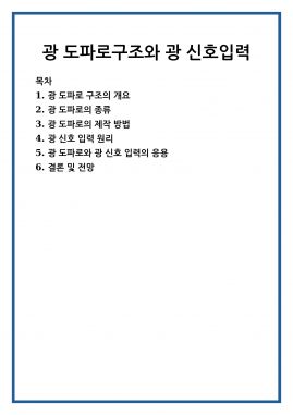 광 도파로구조와 광 신호입력-1페이지