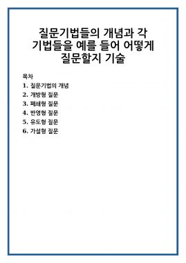 질문기법들의 개념과 각 기법들을 예를 들어 어떻게 질문할지 기술-1페이지