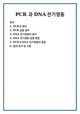PCR 과 DNA전기영동-1페이지