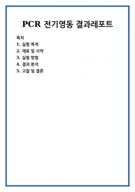 PCR 전기영동 결과레포트-1페이지
