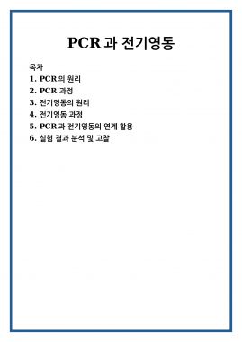 PCR과 전기영동-1페이지