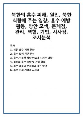 북한의 홍수 피해, 원인, 북한 식량에 주는 영향, 홍수 예방 활동, 방안 모색, 문제점, 관리, 역할, 기법, 시사점, 조사분석-1페이지