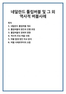 네덜란드 튤립버블 및 그 외 역사적 버블사례-1페이지
