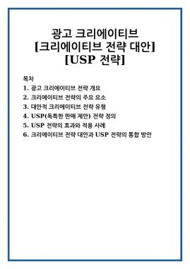 광고 크리에이티브 [크리에이티브 전략 대안][USP 전략]-1페이지