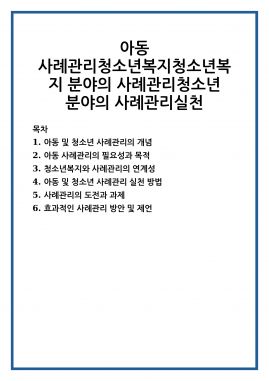 아동 사례관리청소년복지청소년복지 분야의 사례관리청소년 분야의 사례관리실천-1페이지