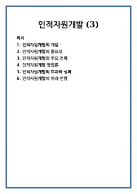 인적자원개발 (3)-1페이지